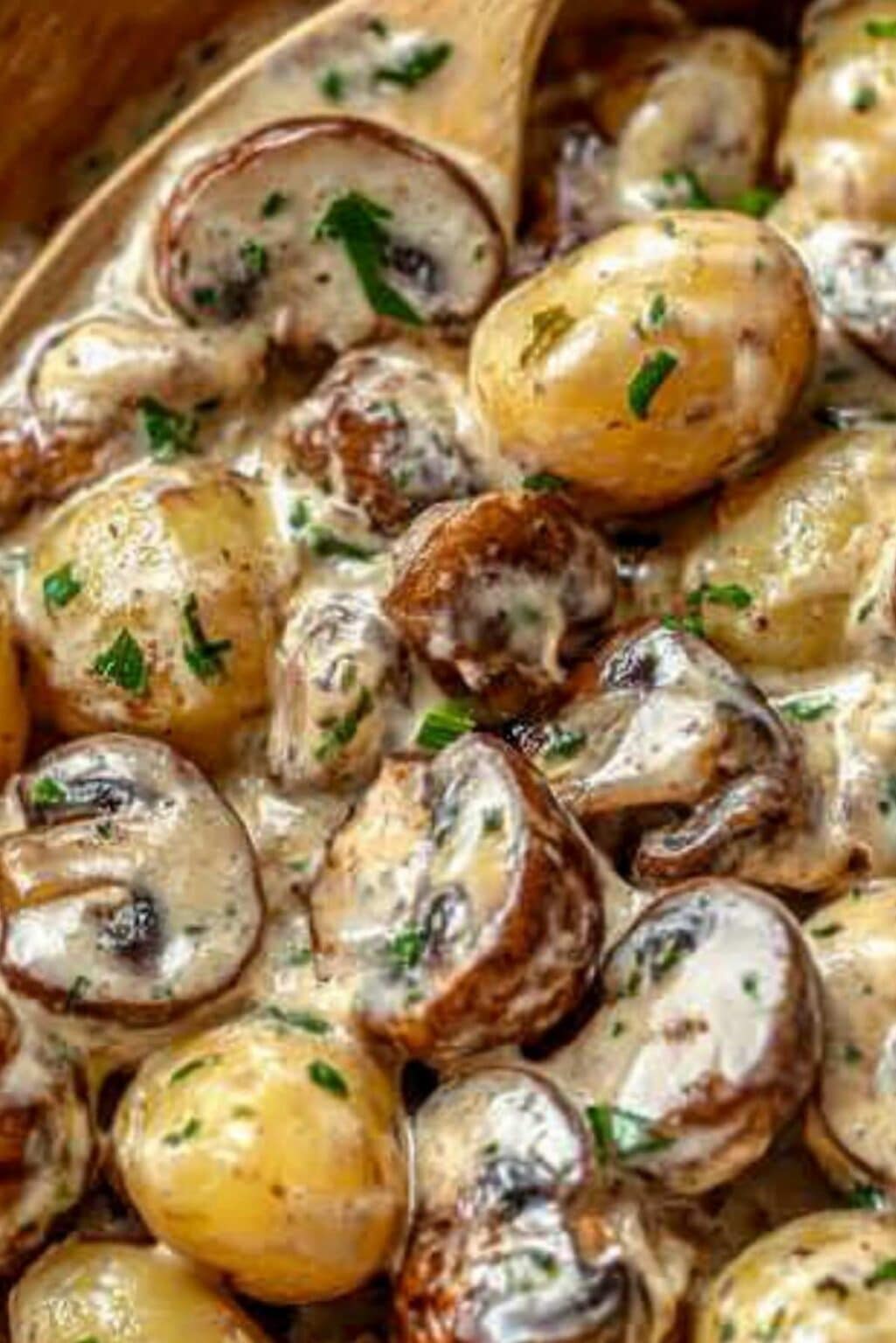 Mushroom Potatoes with Creamy Parmesan and Garlic Sauce – A Comforting ...